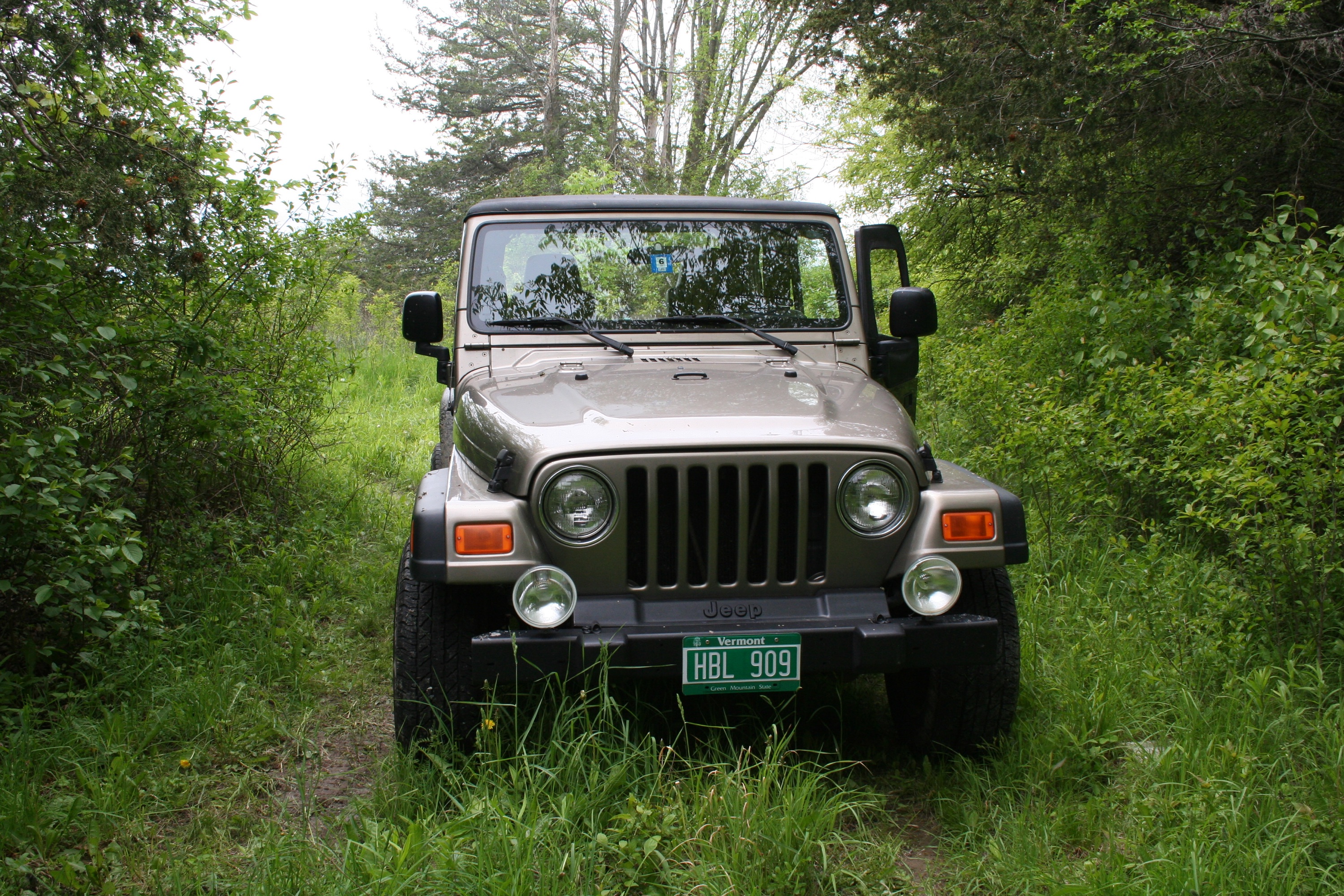 Jane Sorenson | Vermont Bee Lab